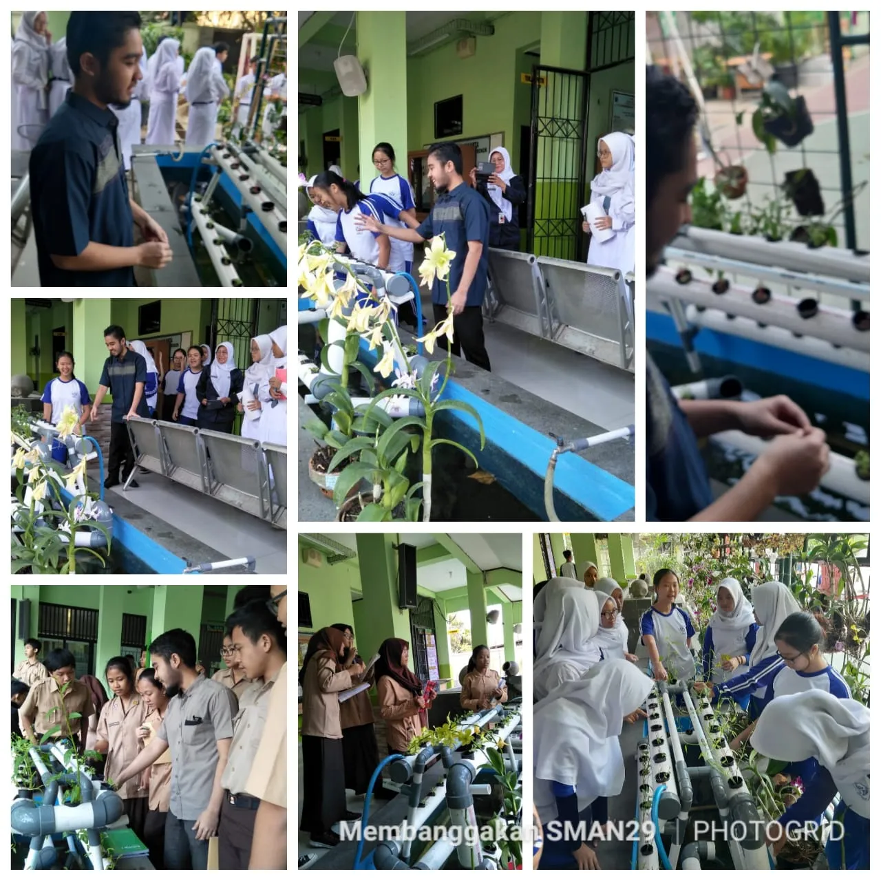 PMR | Ekstrakulikuler | SMAN 29 Jakarta